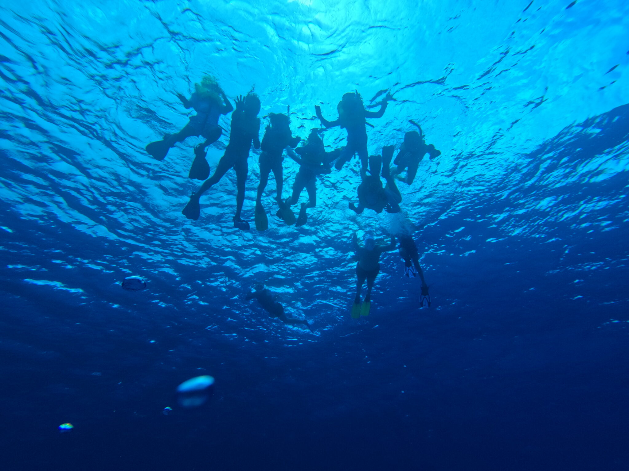 CCMI LAUNCHES DOUG ALLAN OCEAN SUSTAINABILITY AWARDS - CCMI